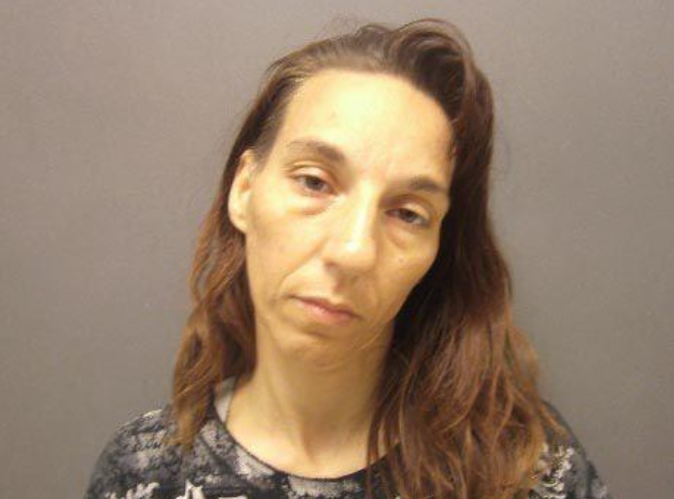 Fairbury Woman Faces Drug Charge Fairbury Journal News